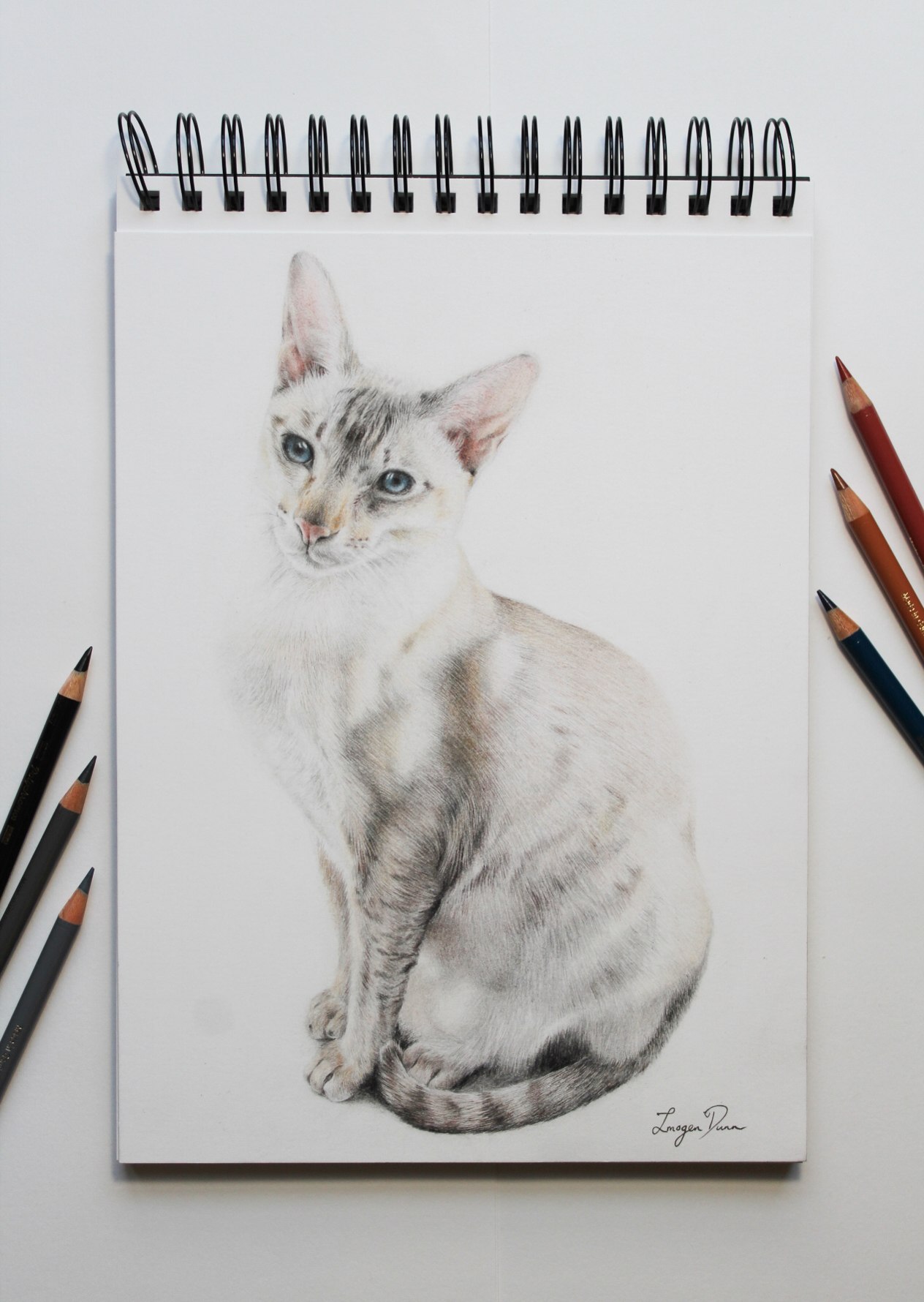 Imogen Dunn - Drawings and Paintings