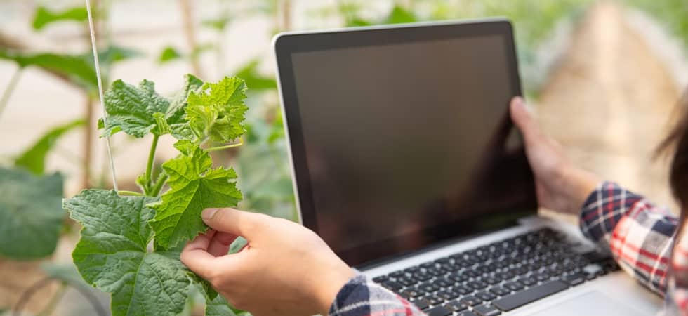 Unlocking the Power of Farmer Databases: Purpose and Benefits Defined!