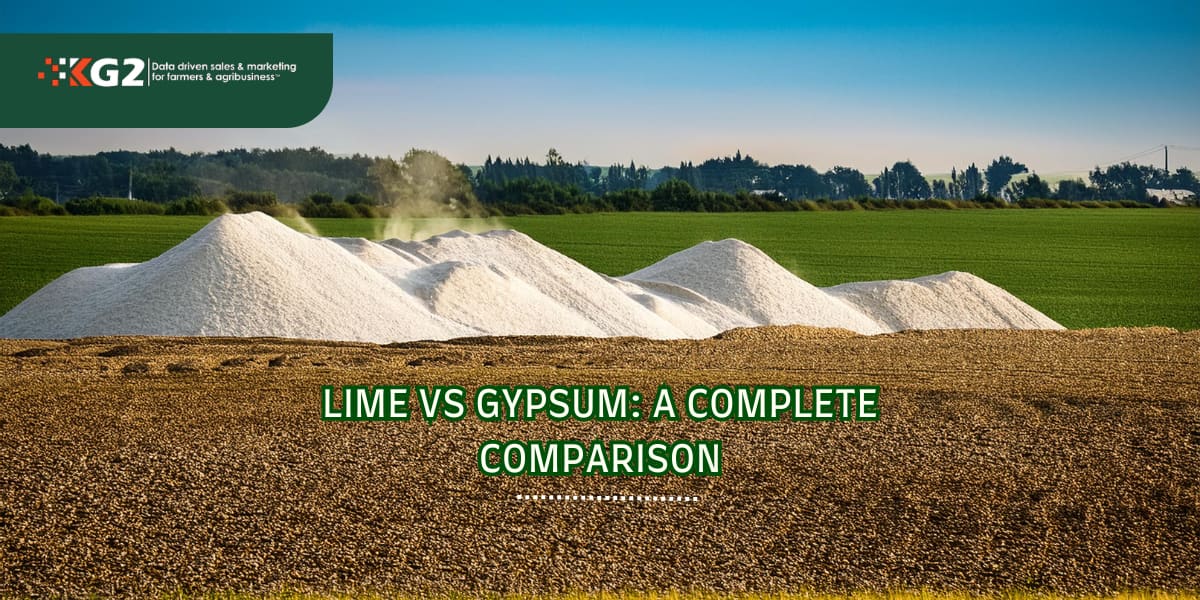 Lime vs. Gypsum: A Comprehensive Comparison for Farming and Soil Health