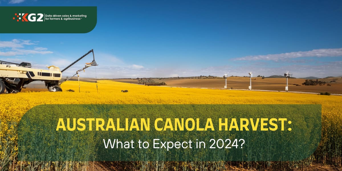 What to Expect from Australia's 2024 Canola Harvest | KG2
