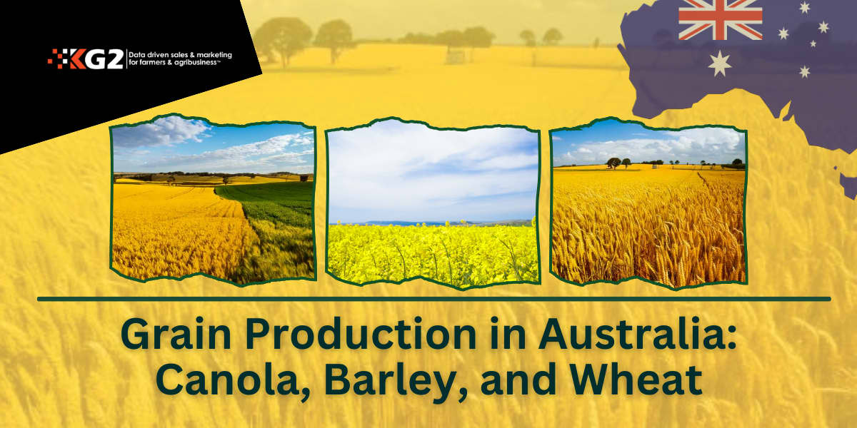 Wheat Harvesting In Australia