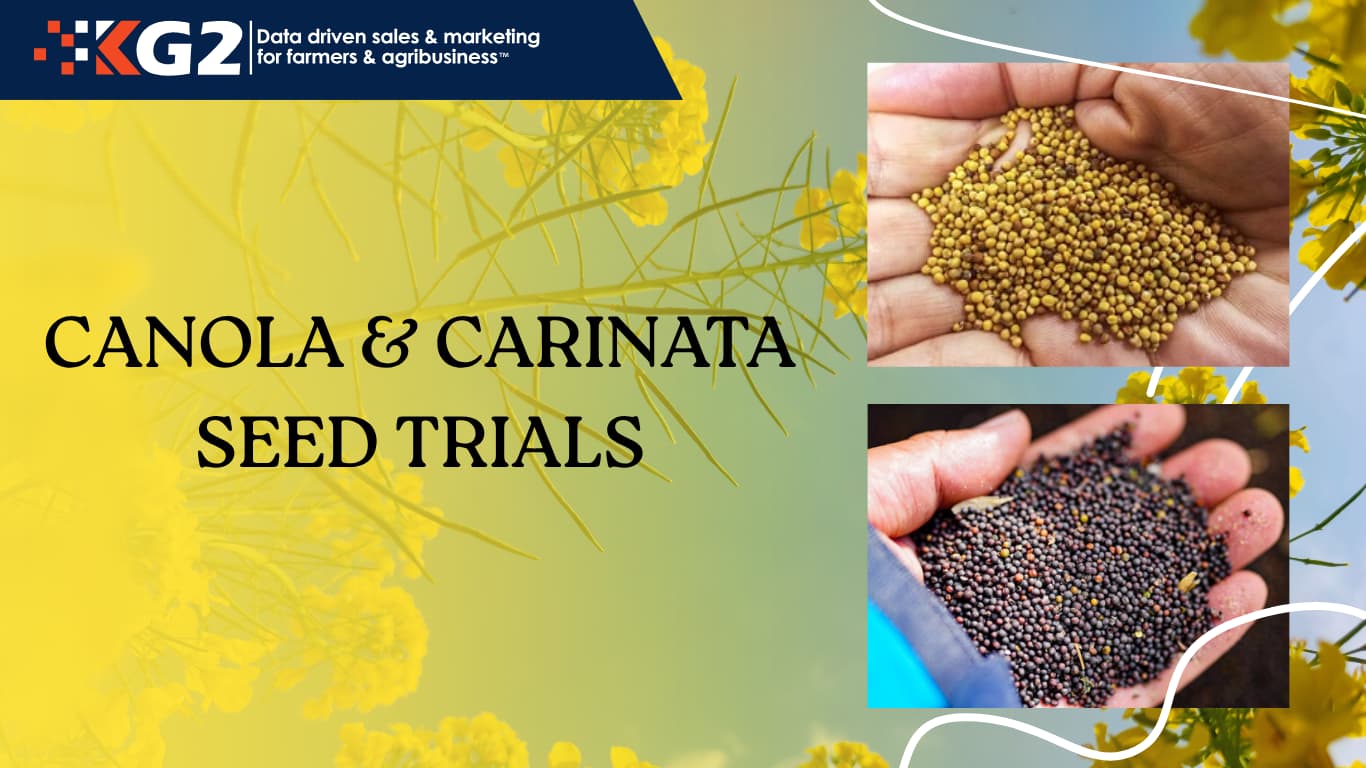 Canola vs Carinata: Seed Trials & Oil Yield Insights