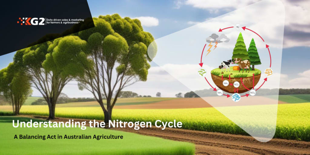 Understanding the Nitrogen Cycle: A Balancing Act in Australian ...