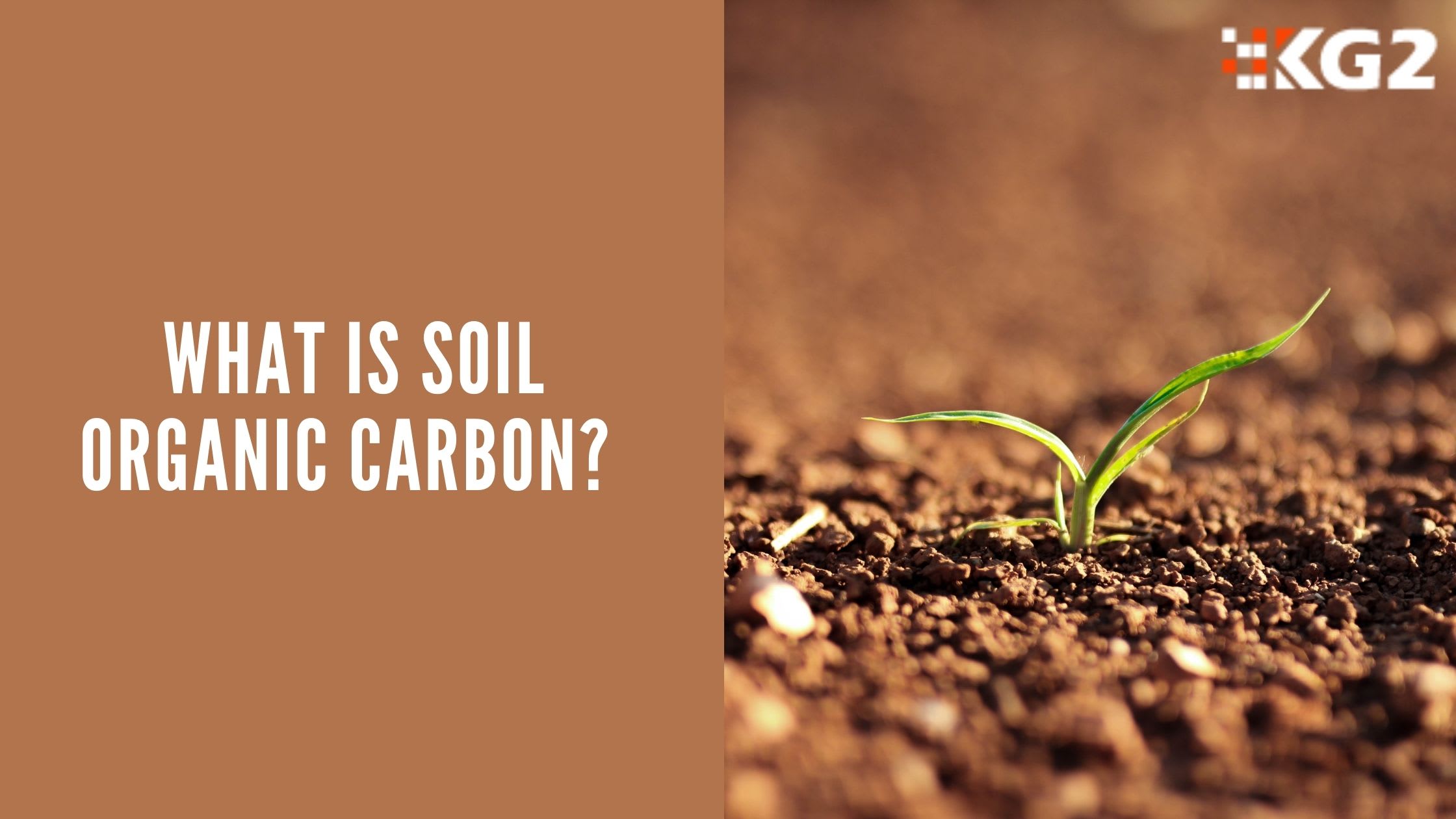 WHAT IS SOIL ORGANIC CARBON? - KG2