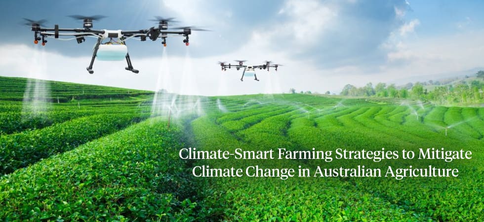 Benefits and Strategies to Mitigate Climate Change in Australian ...