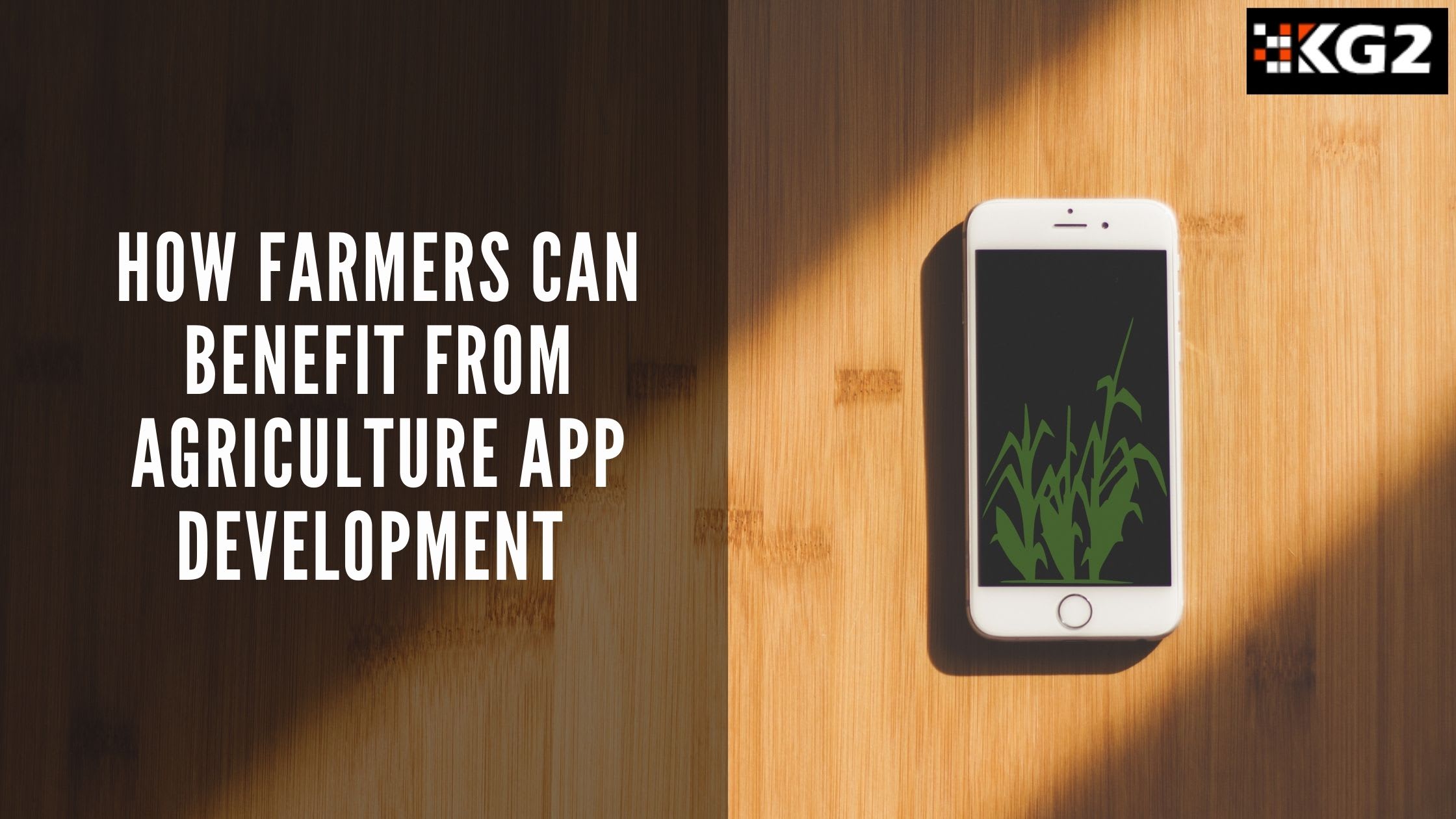How farmers can benefit from agriculture app development