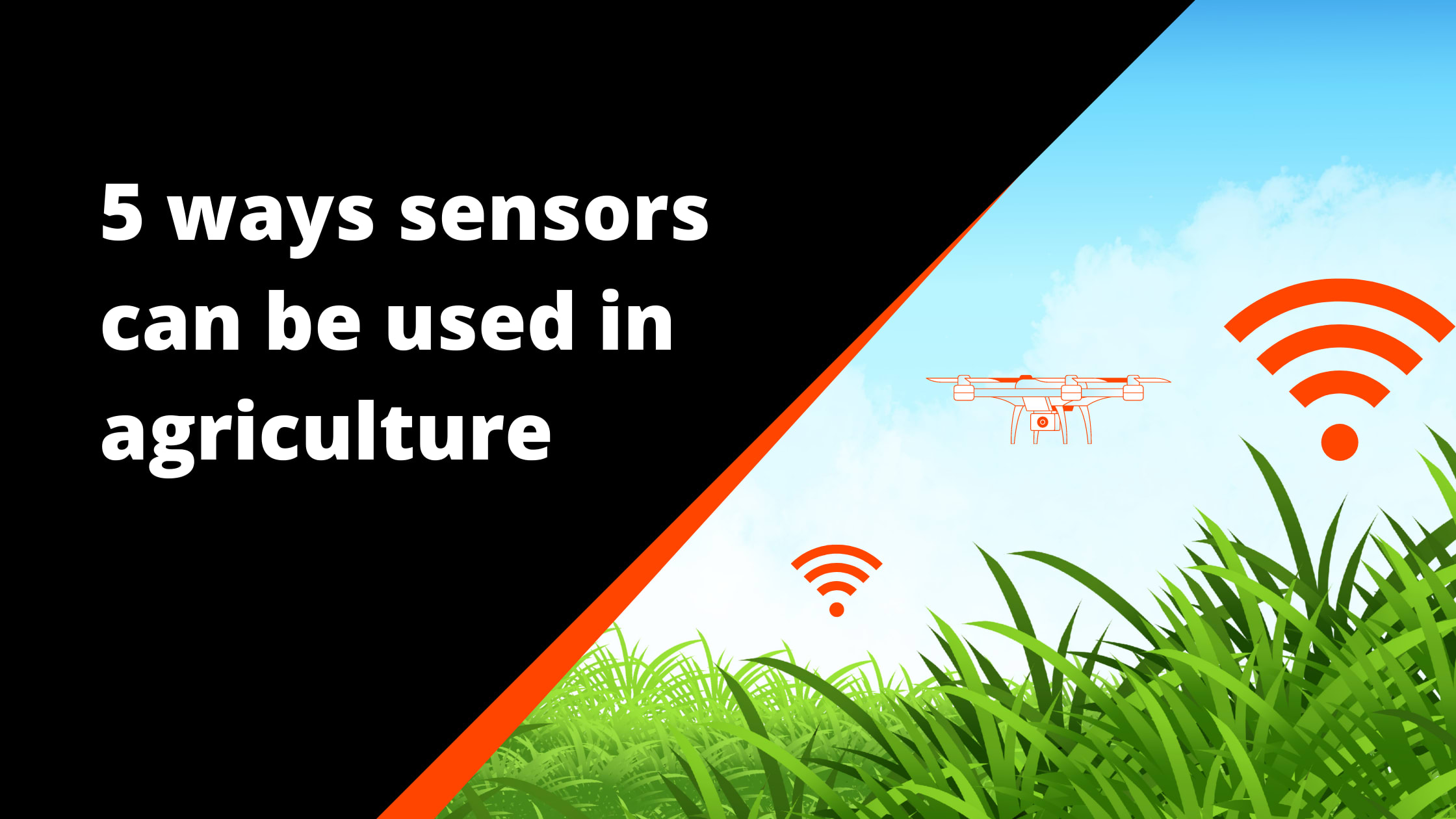 Sensors: five ways they can be used in agriculture - KG2
