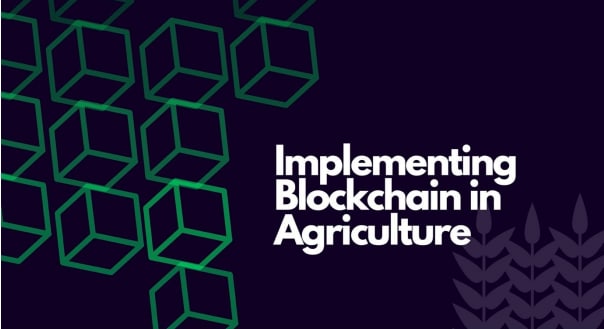 Implementing Blockchain in Agriculture for Increasing ROI