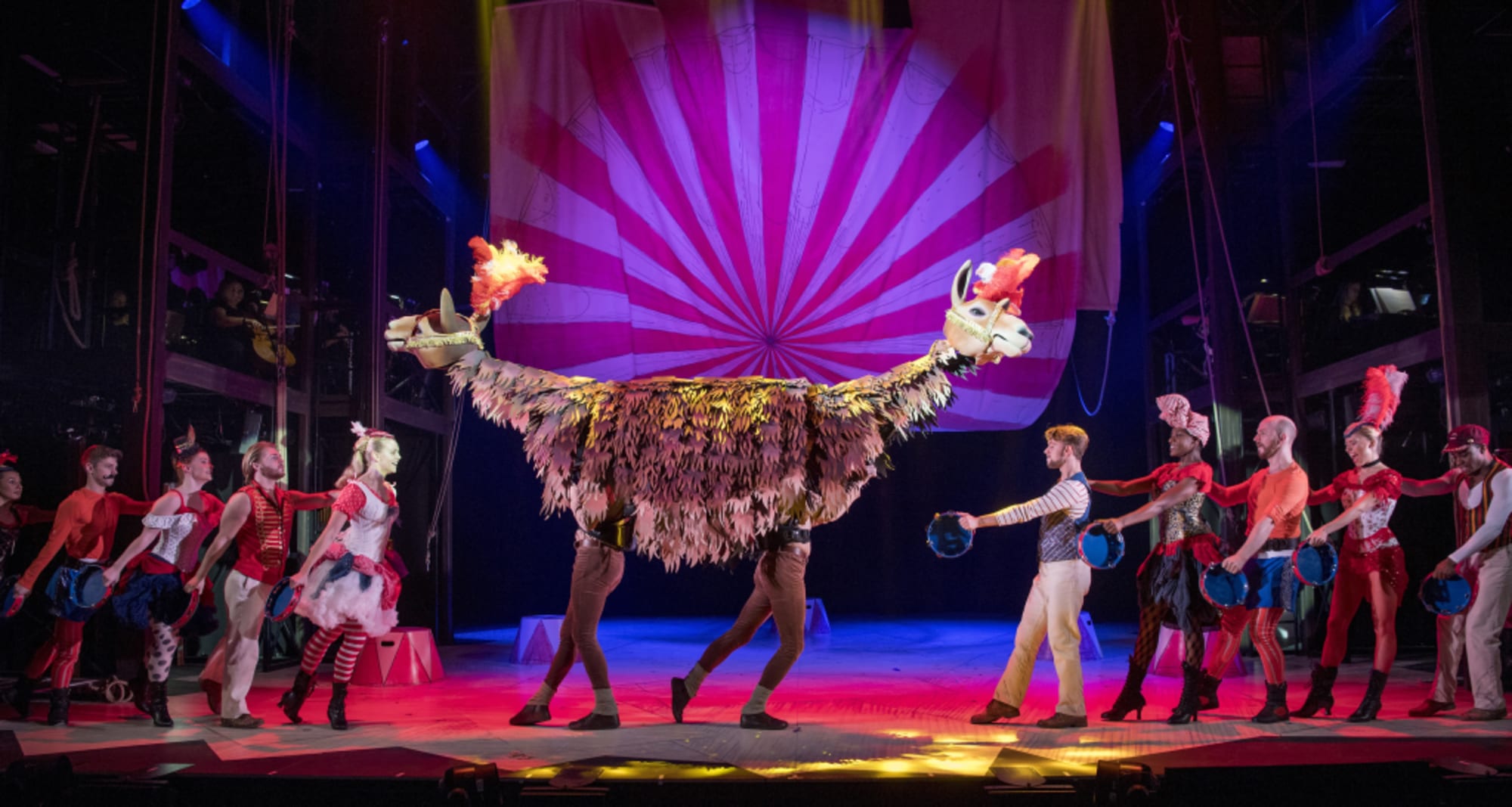 Doctor Dolittle the Musical Tickets | New Theatre Oxford in Oxford ...