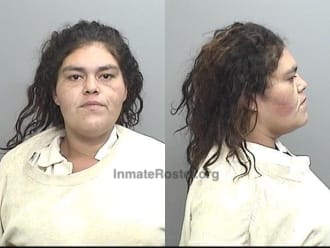 Viktoria Katherine Rose Ladd Photo | Mendocino County Jail - Ukiah, CA