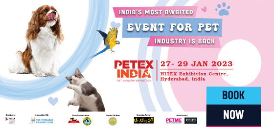 Art Events In Hyderabad Today art-events-in-hyderabad-today