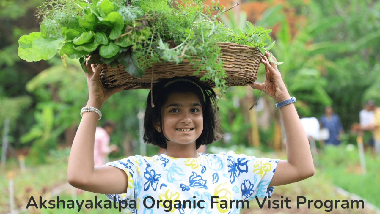 Akshayakalpa Organic Farm Visit (Chennai) | Food Event in Chennai
