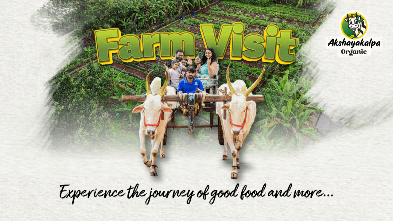 Akshayakalpa Organic Farm Visit - Karnataka | Event in Hassan