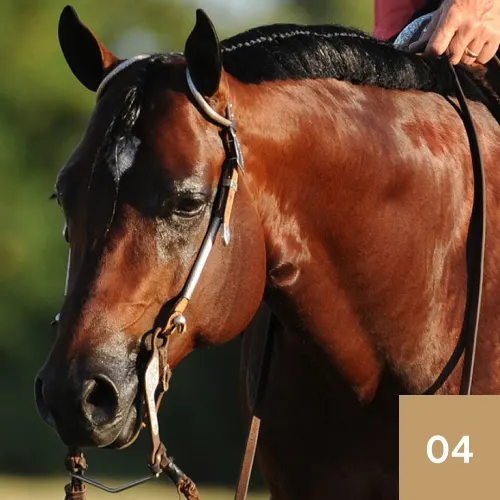 APHA World Show Leading Sires, an article published on StallionCompare ...