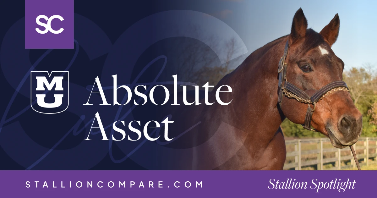 Absolute Asset: The Jewel of MU's Equine Program, an article published ...