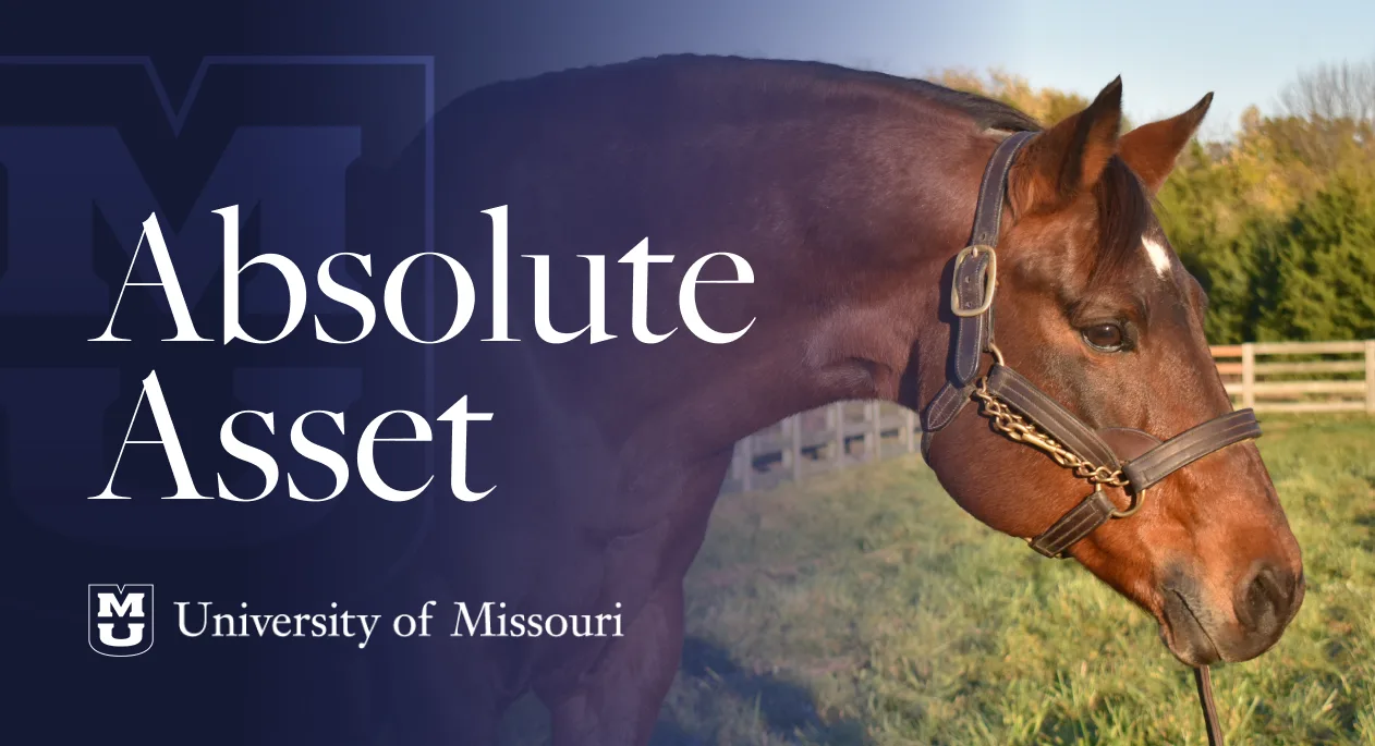 Absolute Asset: The Jewel of MU's Equine Program, an article published ...