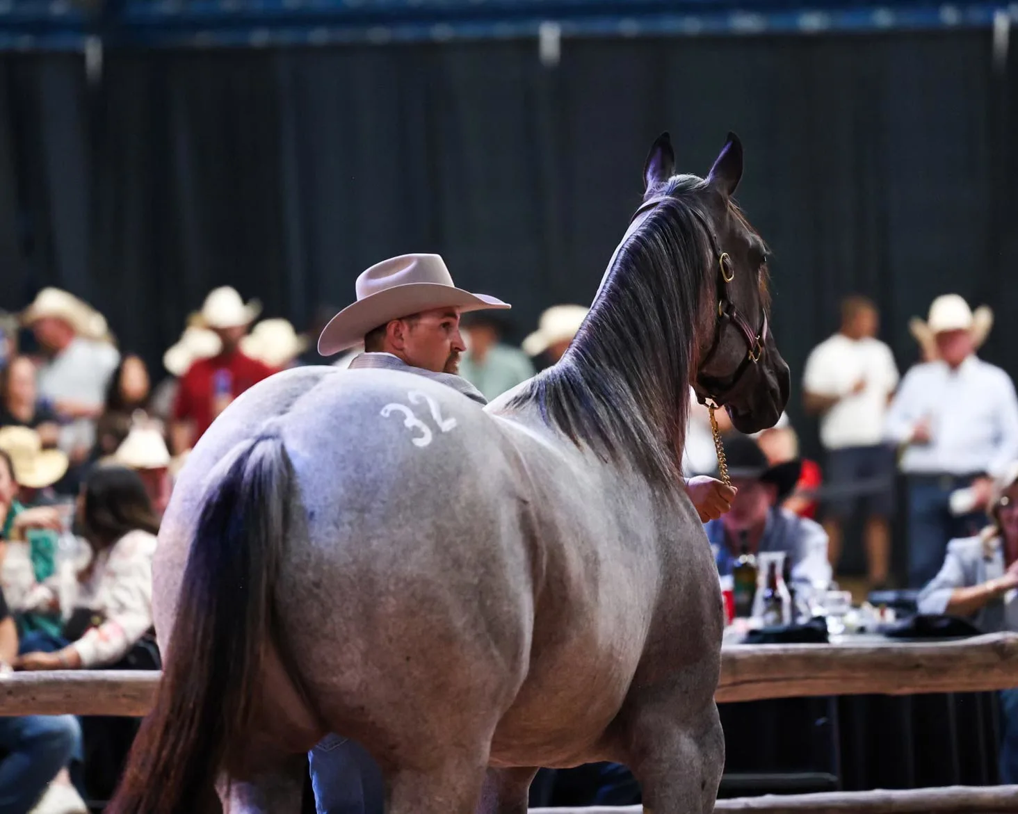 Crosby Ray Von Makes History as the Highest-Selling Western Performance ...