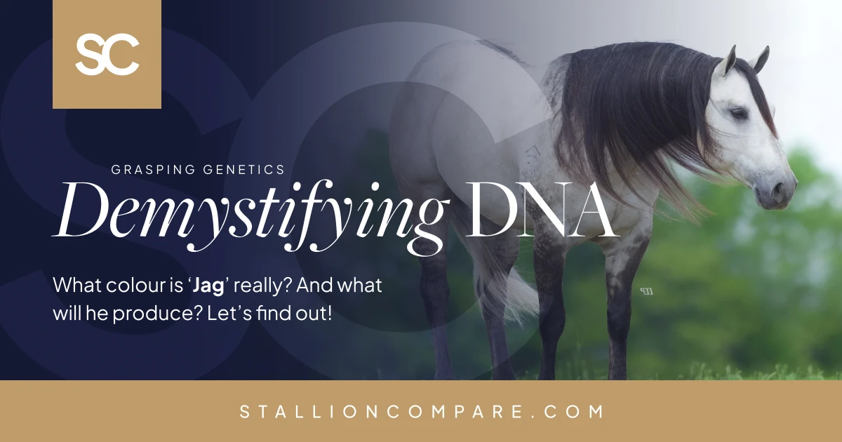 Demystifying DNA, an article published on StallionCompare.com ...