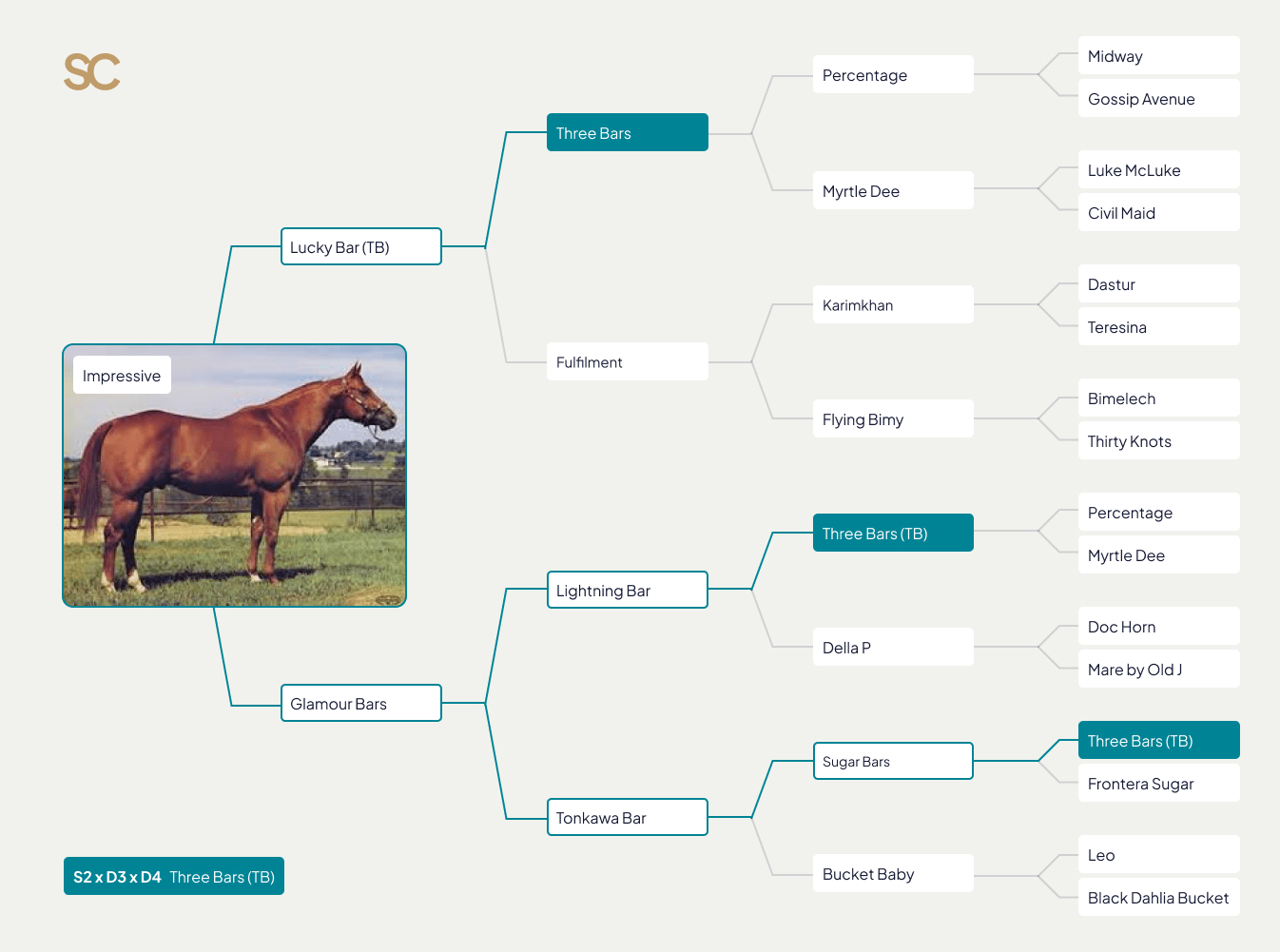 HYPP in Quarter Horses: A History Worth Understanding, an article ...