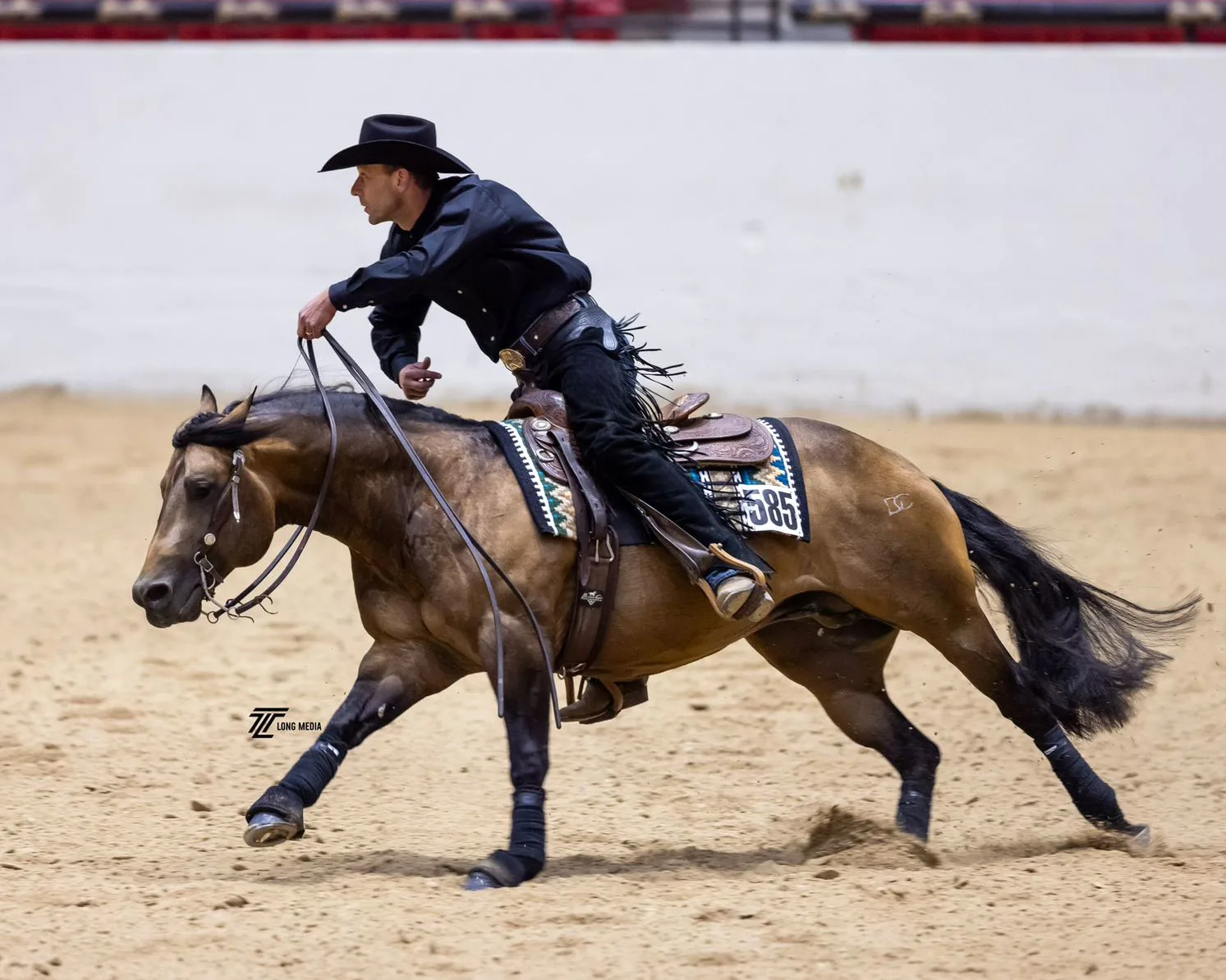 DC The Master Spark Quarter Horse (AQHA ) Stallion Listing | DC The ...