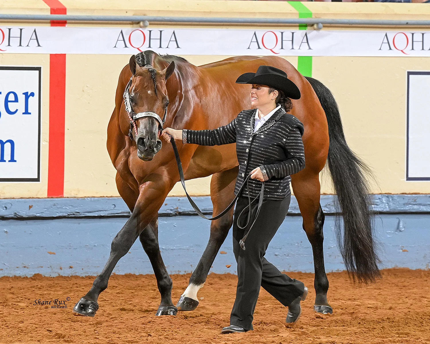 Evincing Quarter Horse (AQHA ) Stallion Listing | Evincing Stud Fee ...