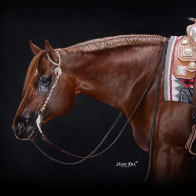 Premier Sires Details | StallionCompare.com