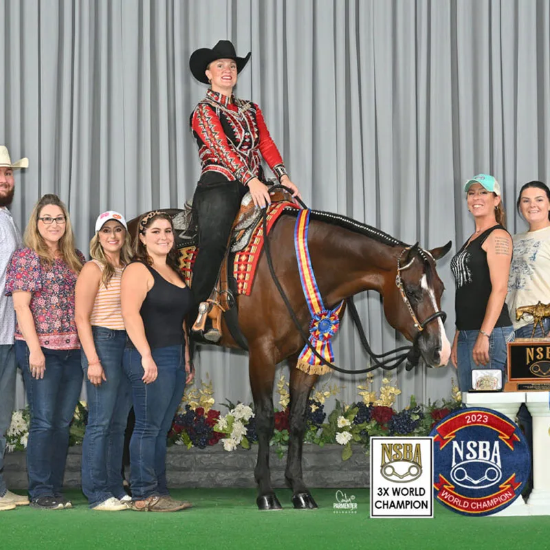Waffle House 2020 Mare | Horse Profile | Pedigree | StallionCompare.com