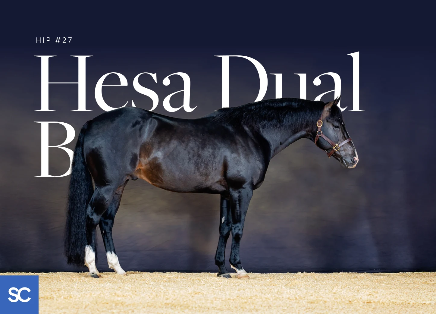 Teton Ridge Complete Dispersal Sale: A Landmark Event in the ...