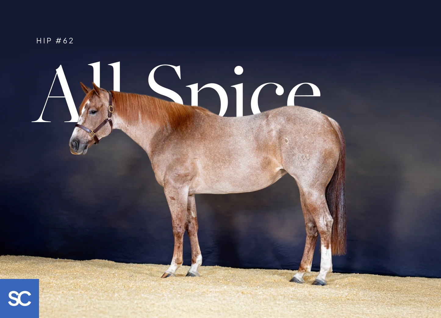 2025 Teton Ridge Sale Results – $28M in Record-Breaking Western ...