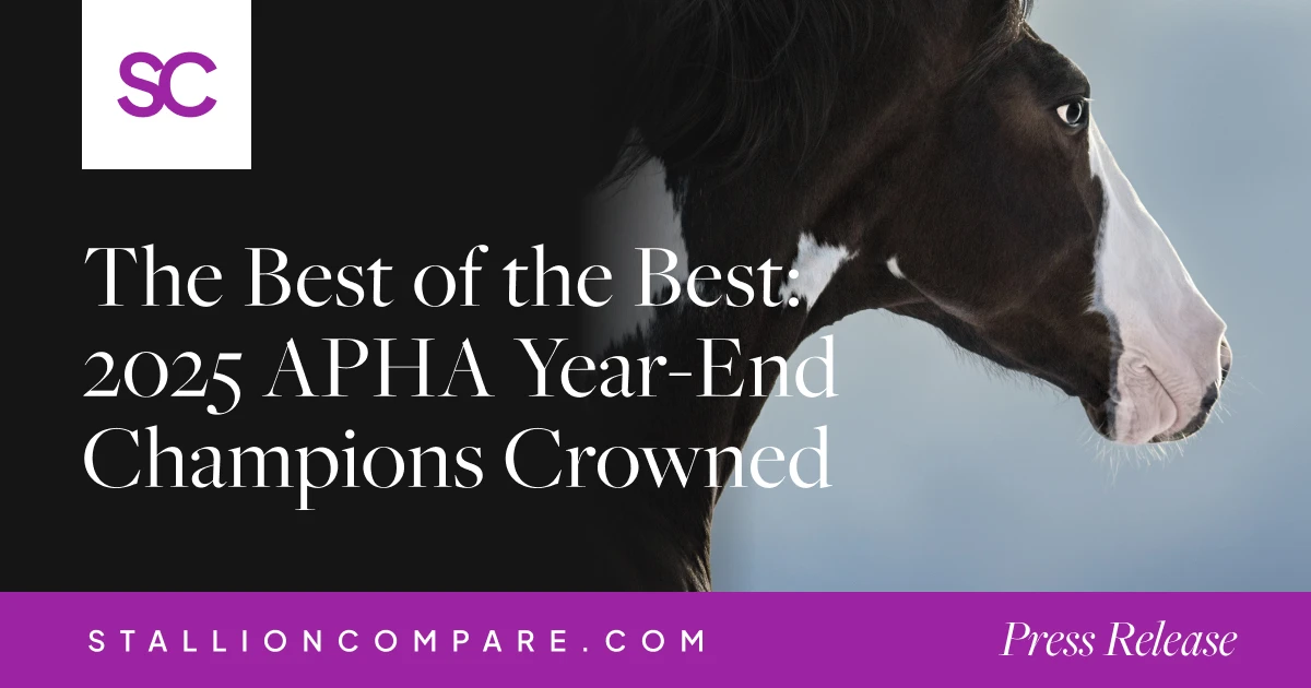The Best of the Best: 2025 APHA Year-End Champions Crowned, an article ...