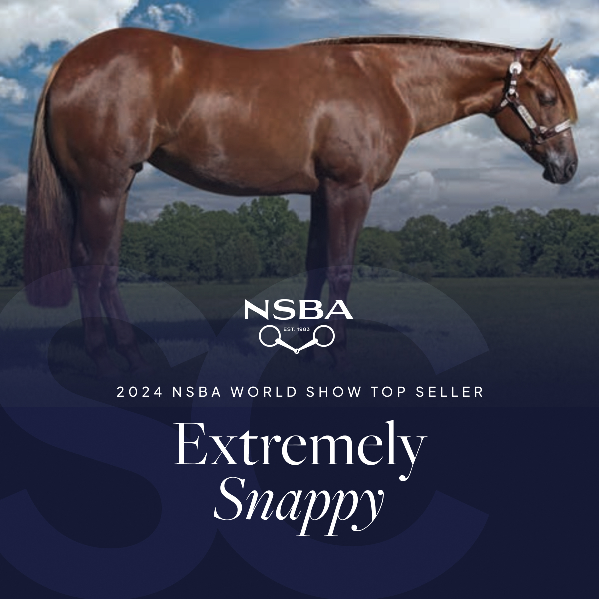 Zippo Pine Bar 1969 Quarter Horse Stallion | Horse Profile | Pedigree | StallionCompare.com