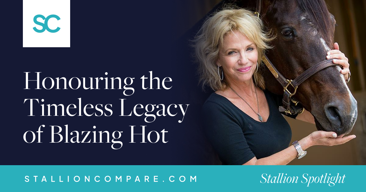 Blazing Hot: The legacy that still shines bright., an article published on StallionCompare.com ...