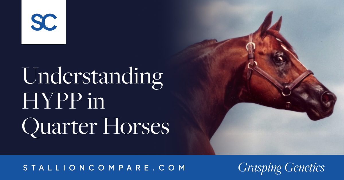 HYPP in Quarter Horses: A History Worth Understanding, an article ...