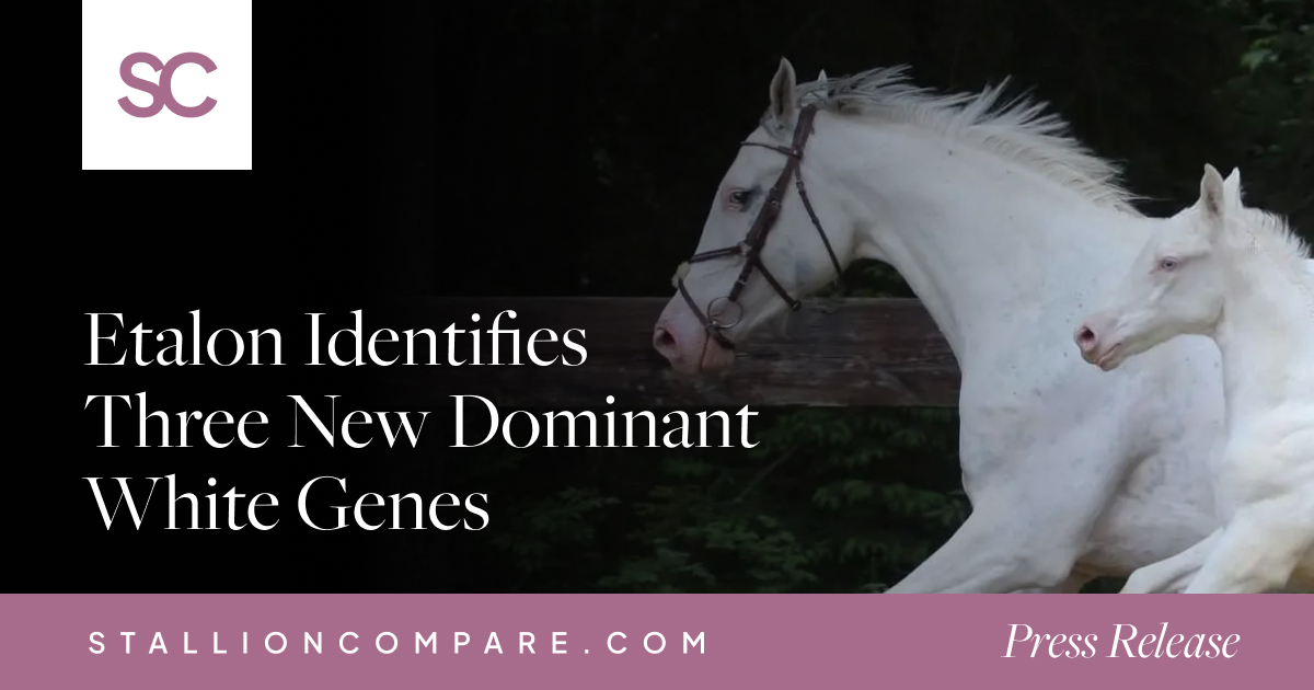 New Genetic Breakthrough: Etalon Identifies Three New Dominant White ...