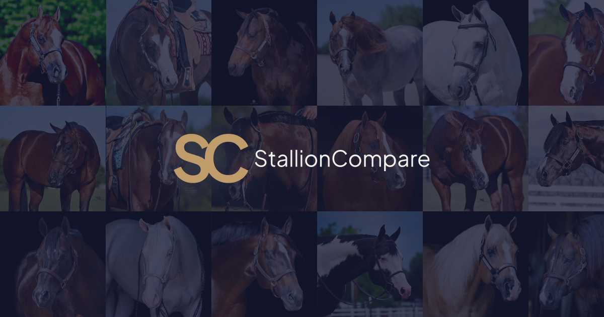 Baby Seven | StallionCompare.com