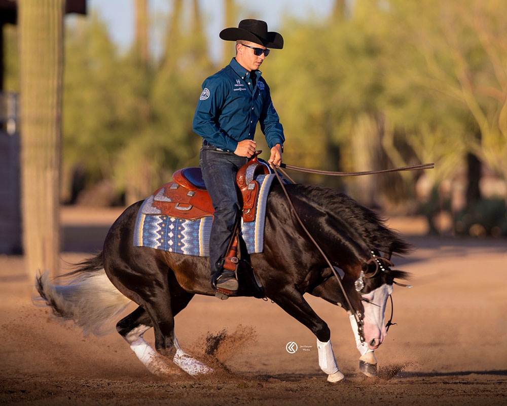 007 Quarter Horse (AQHA /APHA) Stallion Listing | 007 Stud Fee | 007 ...