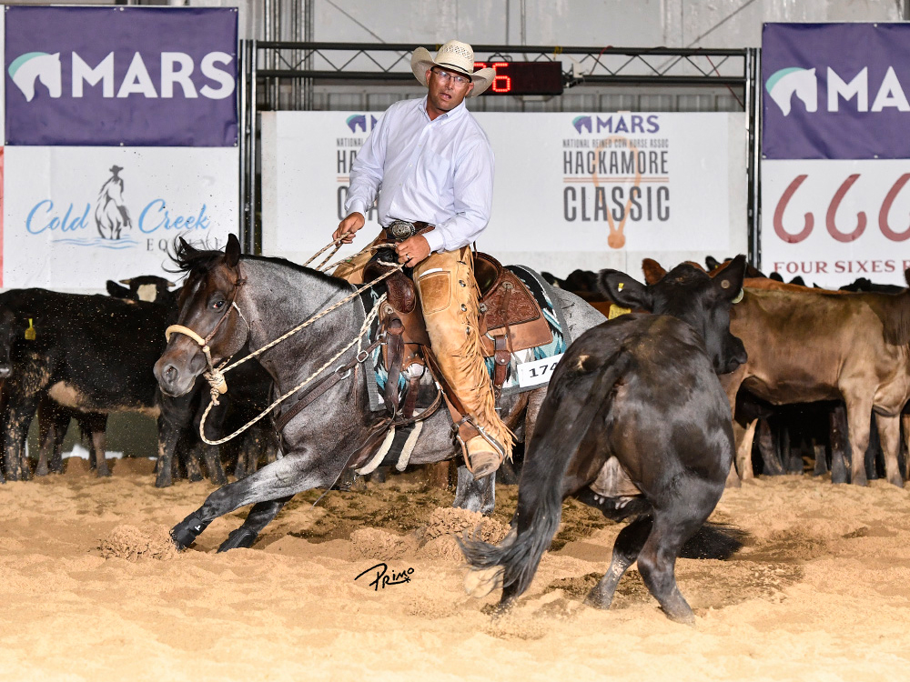 Dualin Blu Moon Quarter Horse (AQHA ) Stallion Listing | Dualin Blu ...