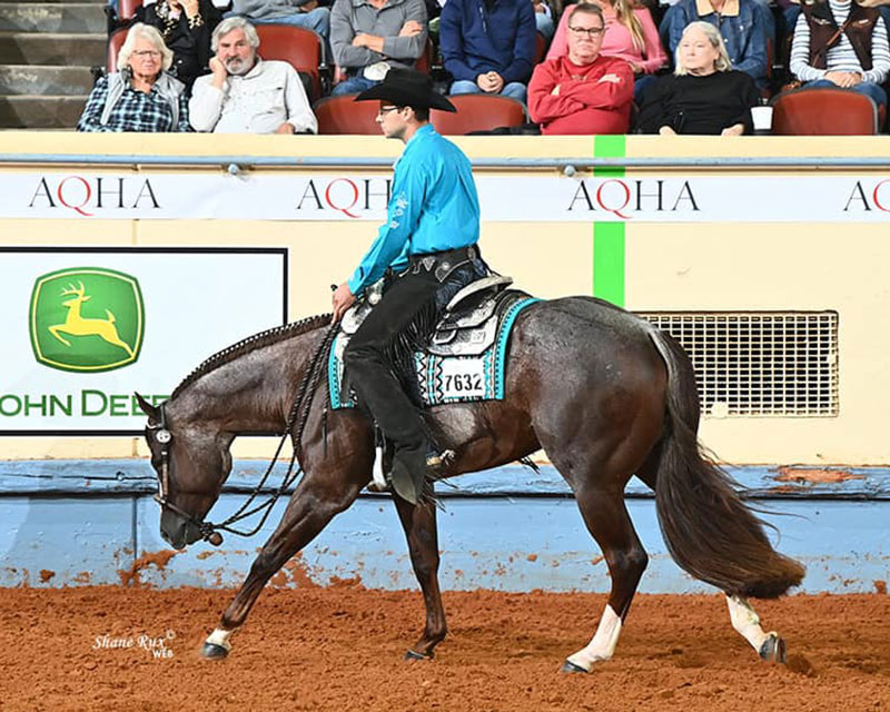 First Thingz First Quarter Horse (AQHA ) Stallion Listing | First Thingz First Stud Fee | First ...