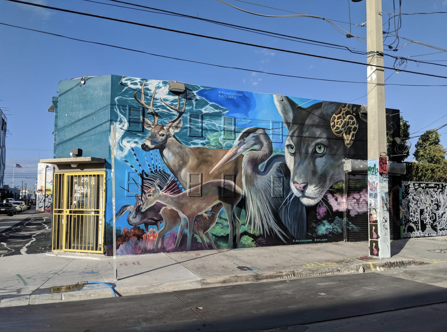 Reinier Gamboa | Miami, FL - Muros