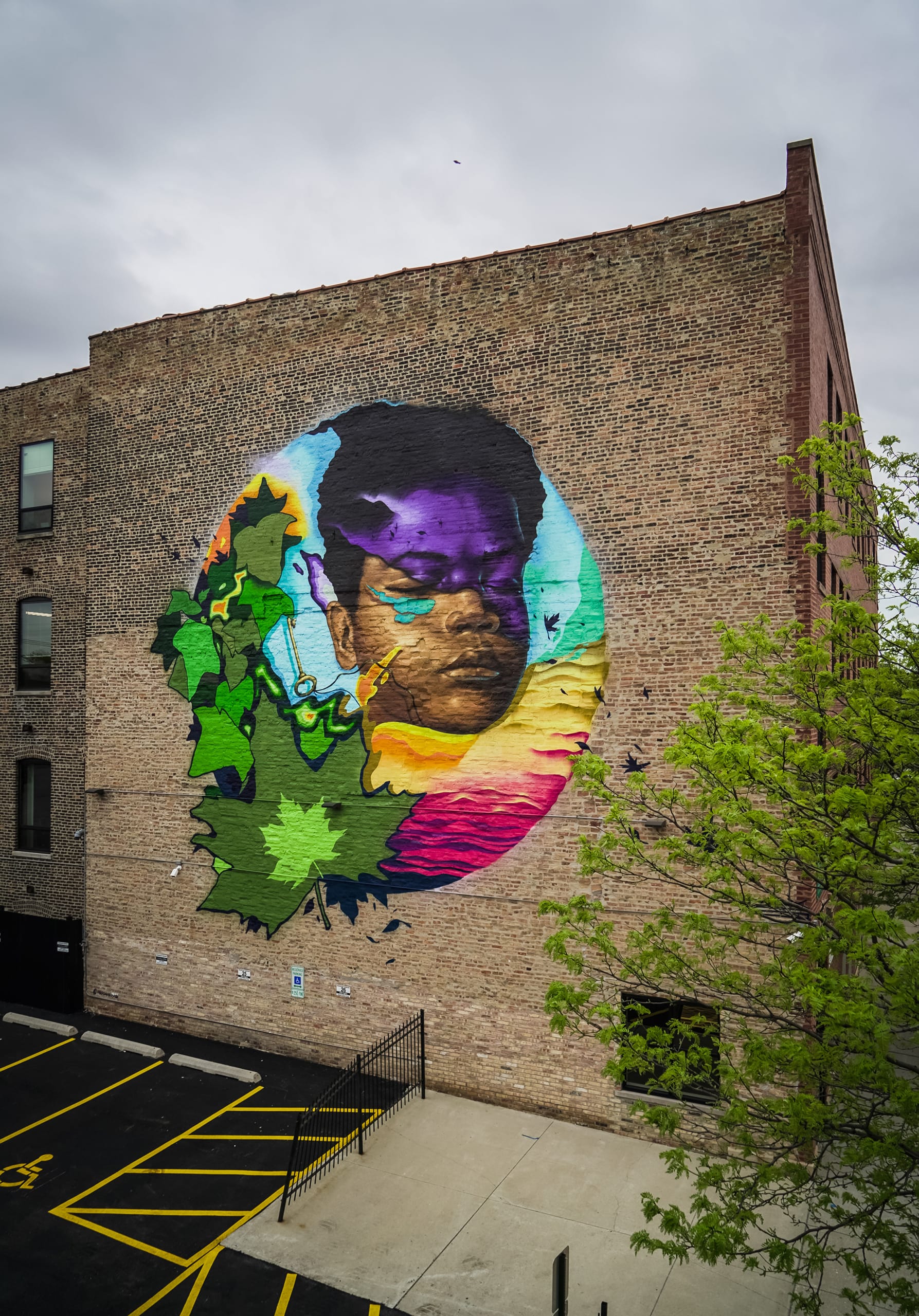 Muros | Murals For Medical Relief | Max Sansing Mural