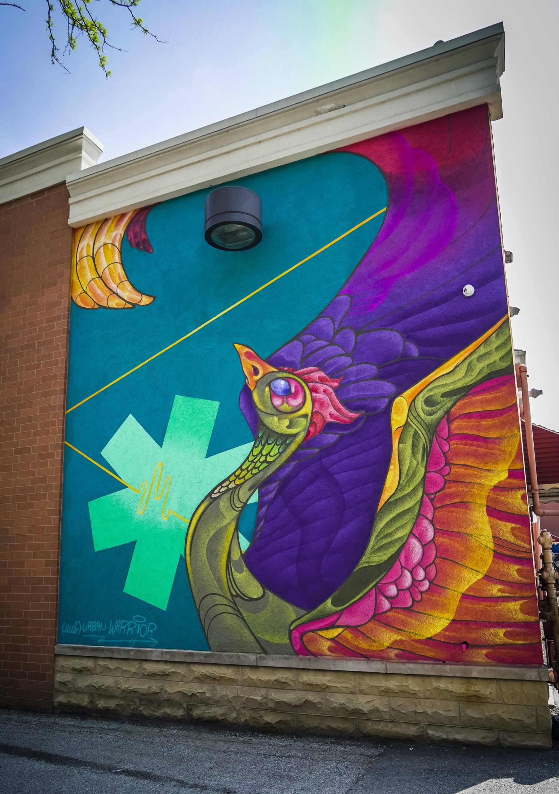 Muros | Murals for Medical Relief | (Sub)urban Warrior Mural