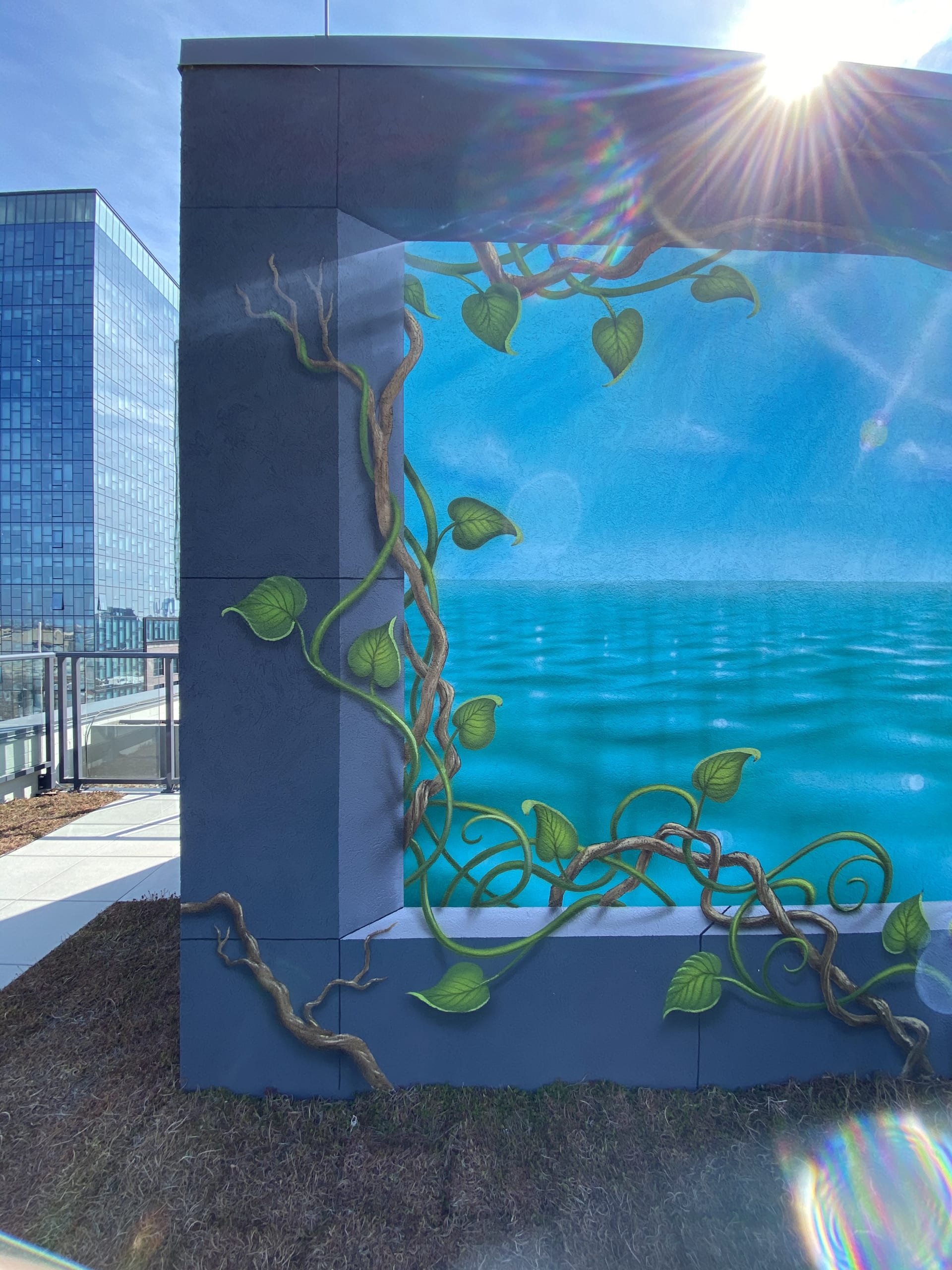 Muros | Fifield Companies Rooftop Mural