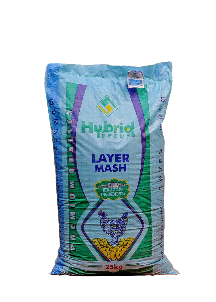 Layer Mash - Hybrid Feeds