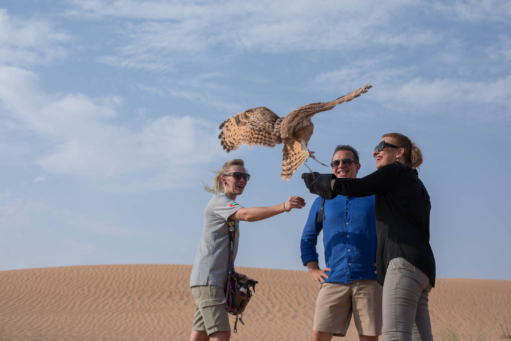 Falconing | YourSiteName