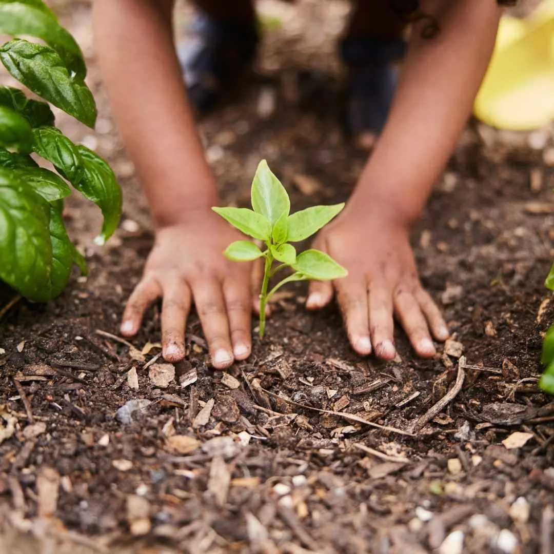 Tree Plantation Projects | NGO Projects- Sahyog Pratishthan