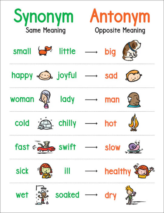 Explore Educational Paragraphs for Students Synonyms and Antonyms ...