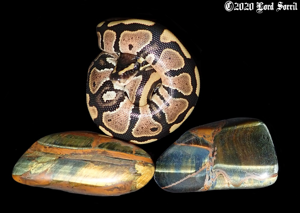 Snakes and Stones | Rock Tumbling Hobby