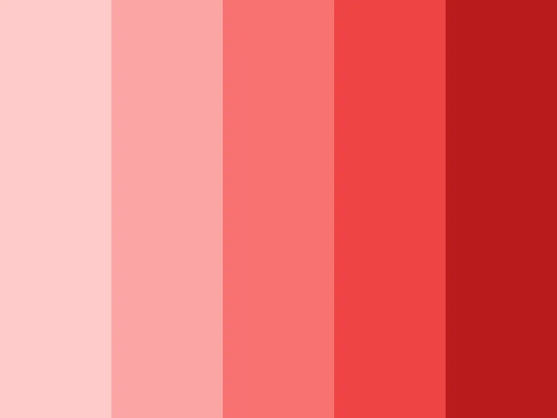 Desert Sunset Color Palette | ColorZaa