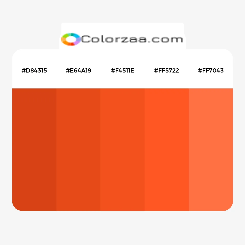 Aussie Color Palette | 20 Vibrant Australian Combinations | ColorZaa