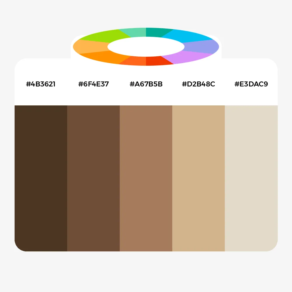 Aesthetic Color Palettes - ColorZaa